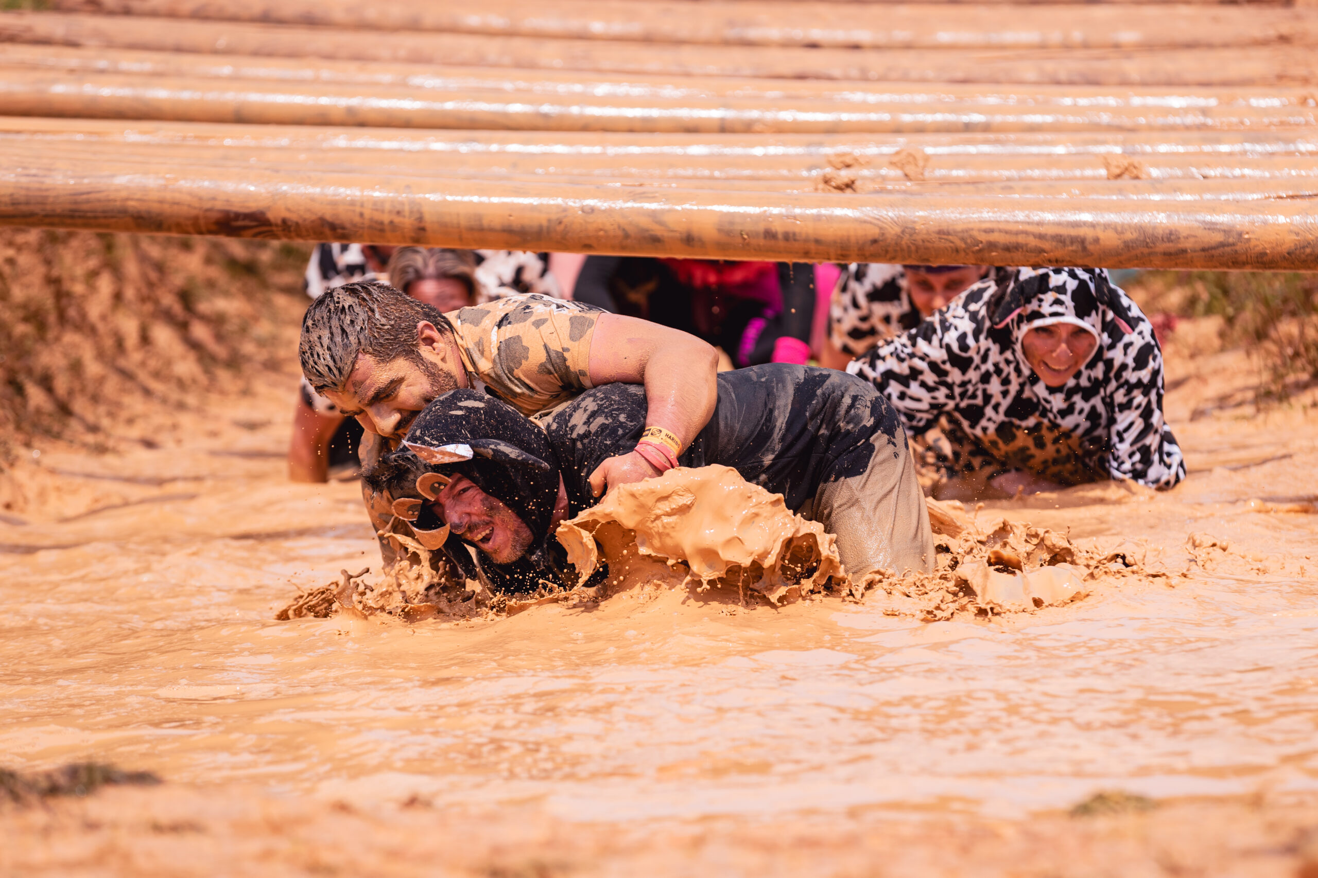 Nos courses - La Ruée des Fadas