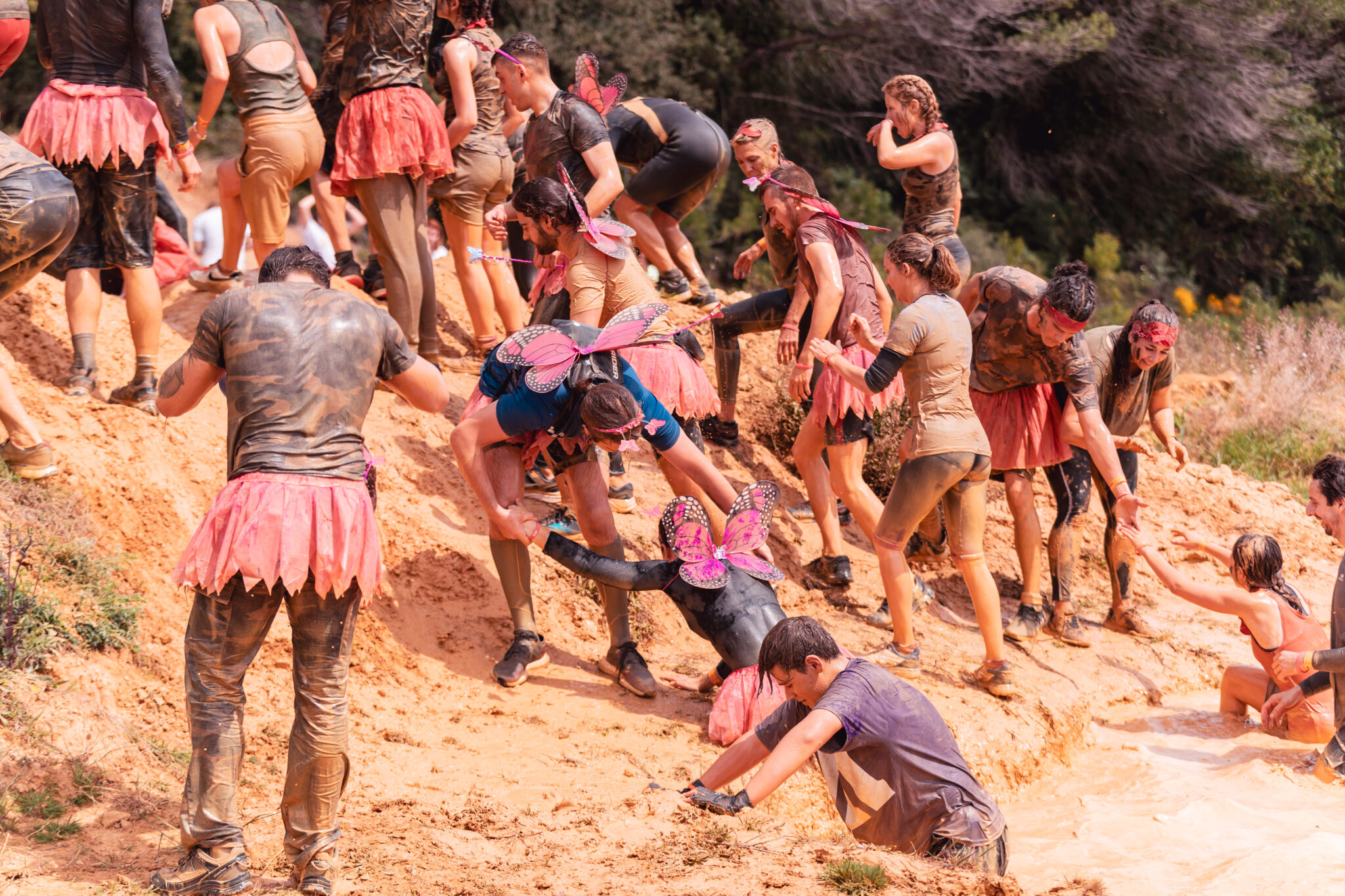 Nos courses - La Ruée des Fadas